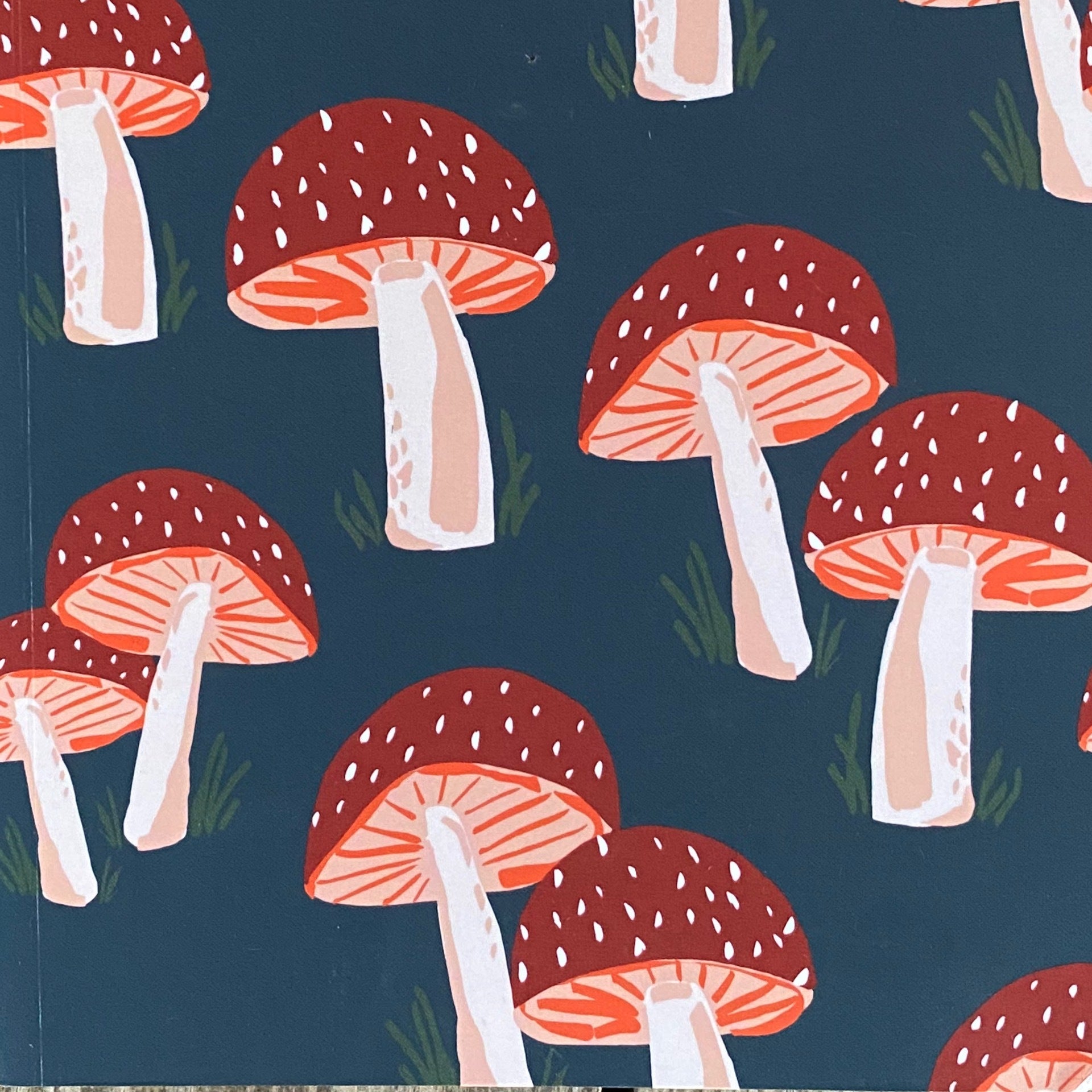 Denik journals | Little House Journals